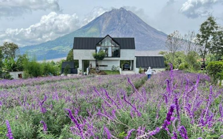 Sarune Cafe, Cafe dengan View Gunung Sinabung Terbaik